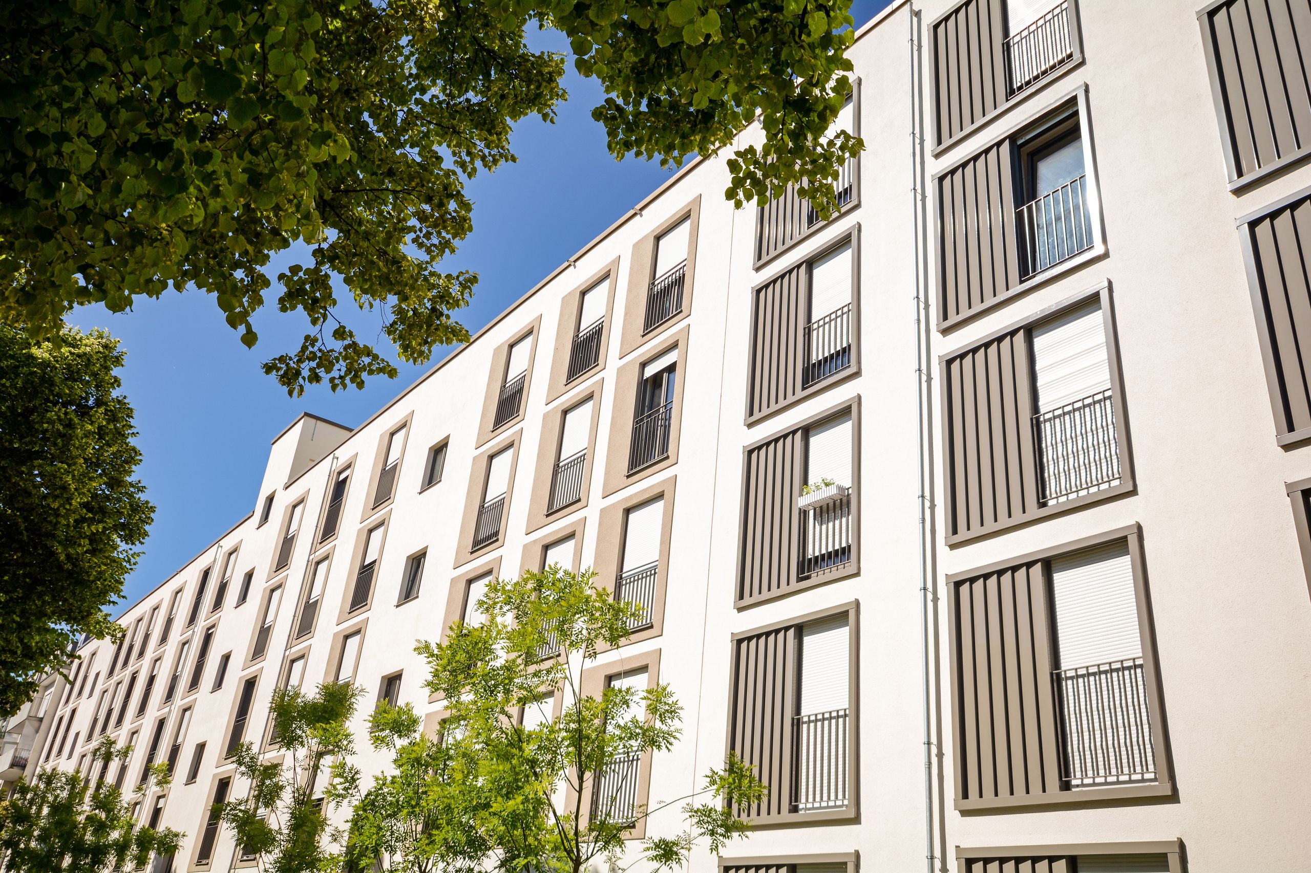 Ready for carbon neutral by 2050? Assessing ambition levels in new ...