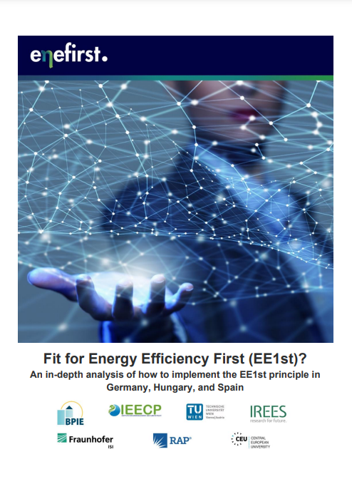 Fit for Energy Efficiency First? An in-depth analysis of how to ...